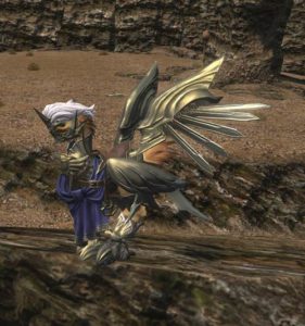 FFXIV Chocobo Barding Guide (Updated Patch 6.55) - Late to the Party Finder