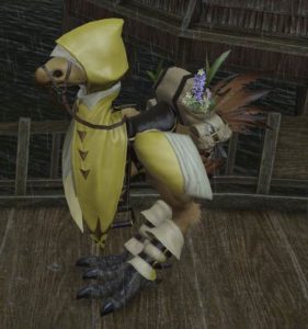 FFXIV Chocobo Barding Guide (Updated Patch 6.55) - Late to the Party Finder