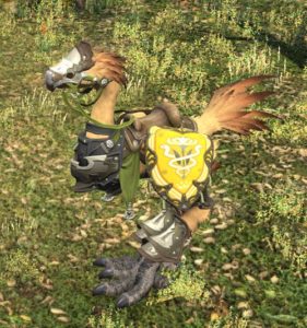FFXIV Chocobo Barding Guide (Updated Patch 6.55) - Late to the Party Finder